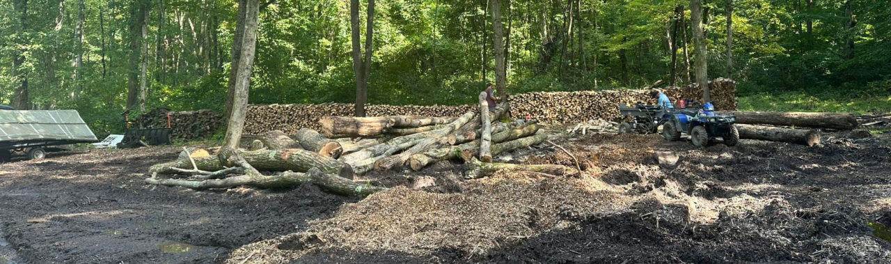 Expert Tree Service - Lilly Lake Farm